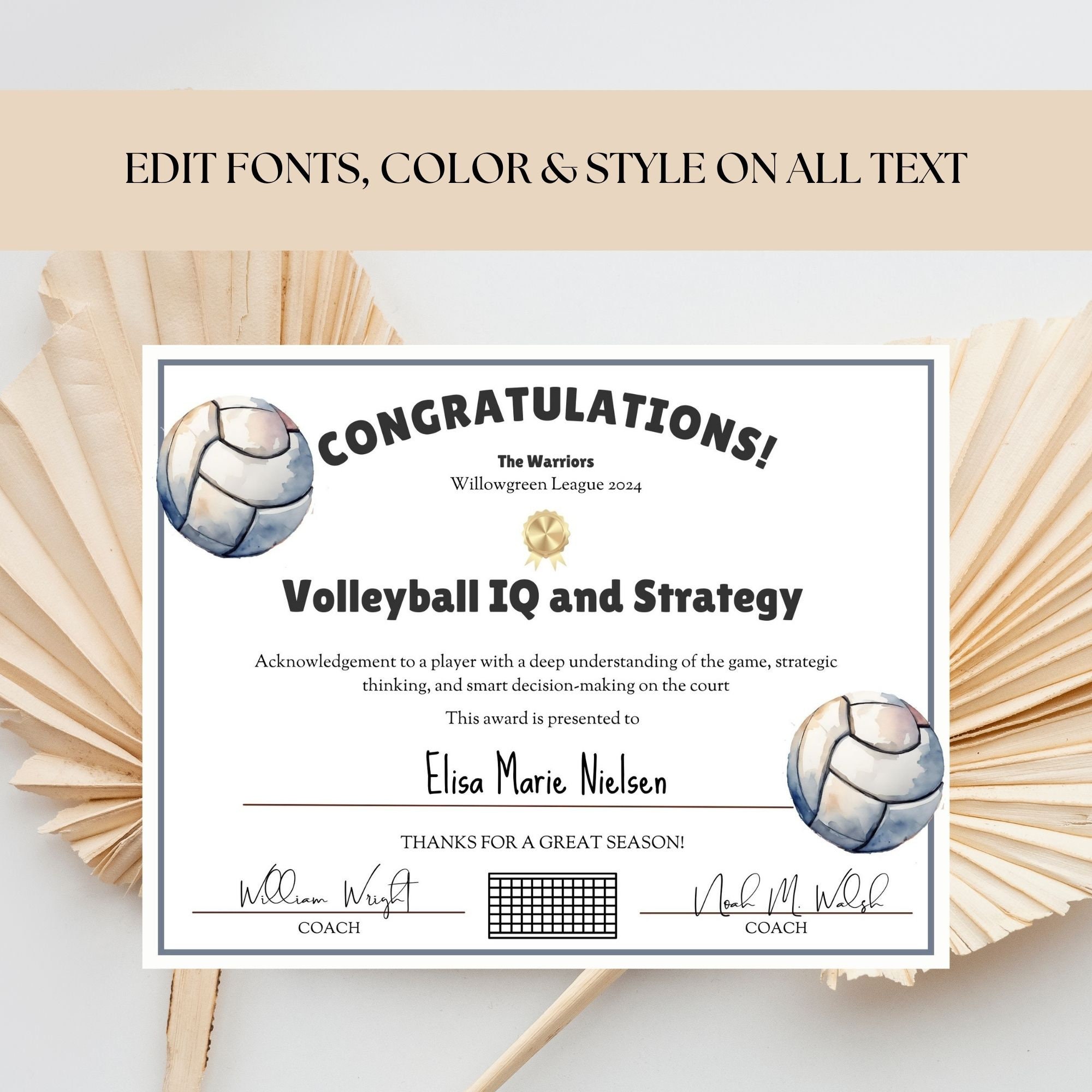 Volleyball Award Certificates, Award Ceremony Certificates, End of ...