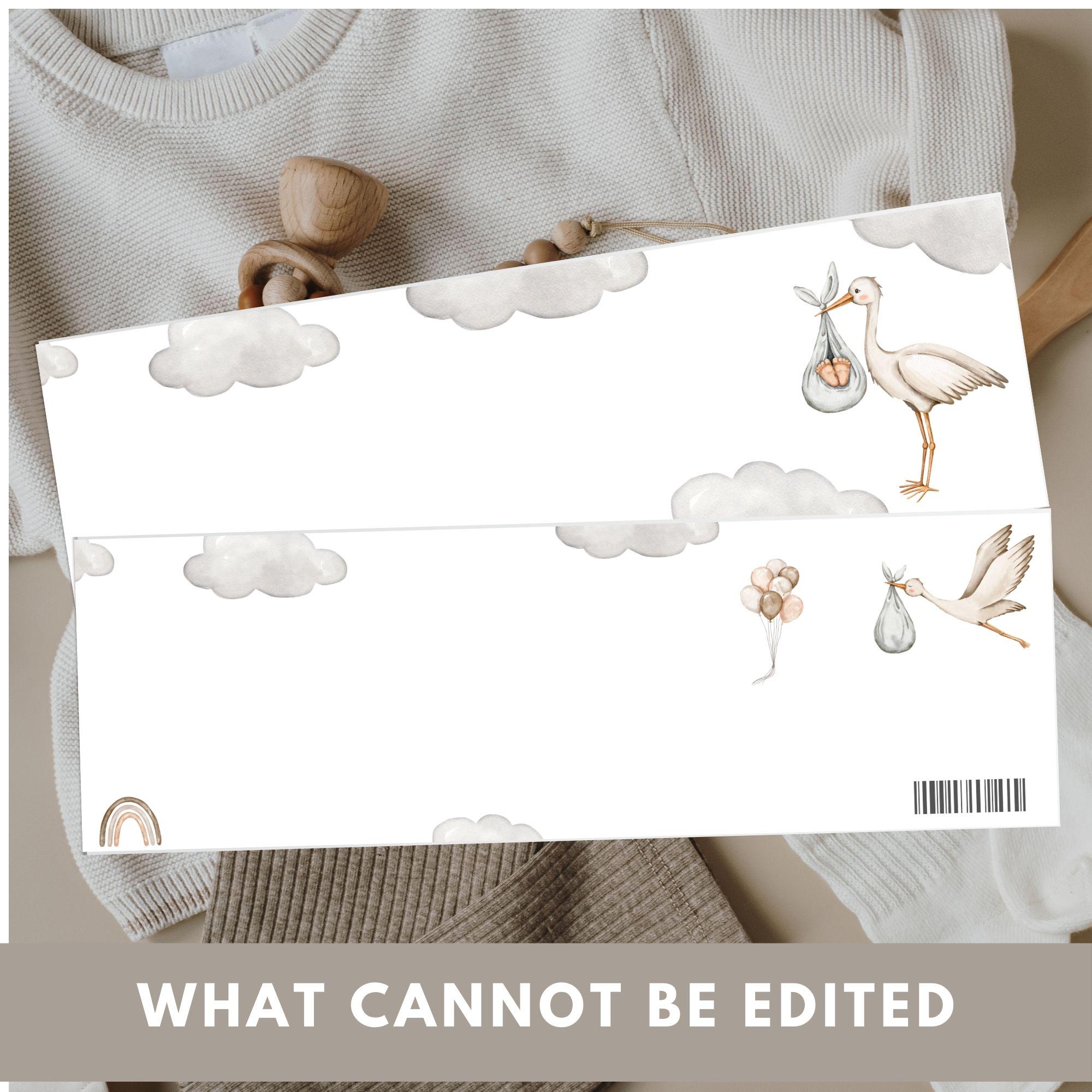 Boho Stork Boarding Pass Baby Shower Invitation (editable Card) - Etsy