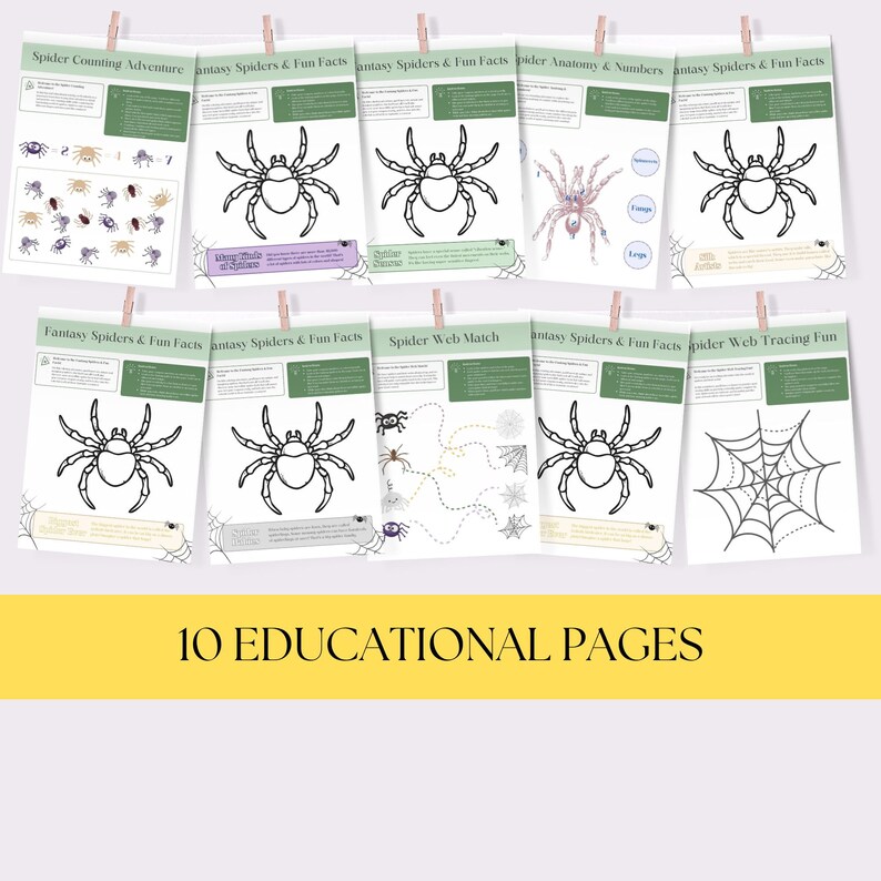 Spider Preschool Activity Bundle: Printable Learning Worksheets (PDF ...