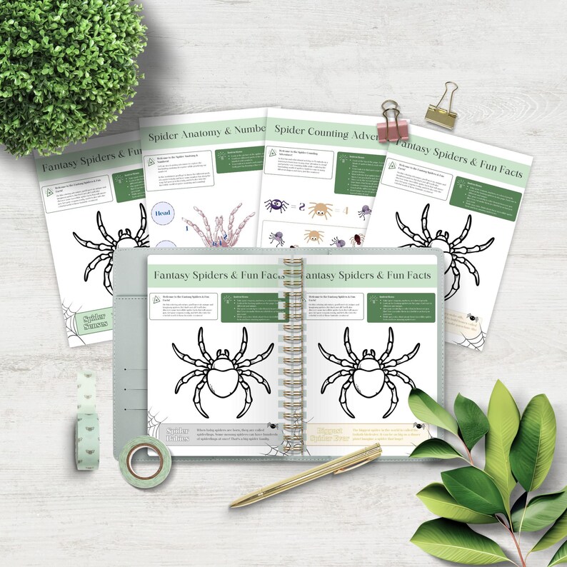 Spider Preschool Activity Bundle: Printable Learning Worksheets (PDF ...