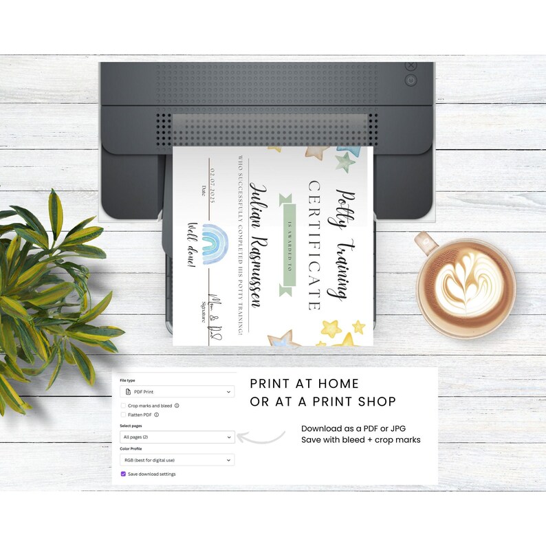 Potty Training Award Certificate: Editable Milestone Keepsake (digital ...