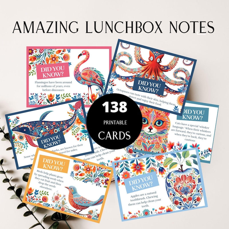 Lunch Box Cards - Etsy