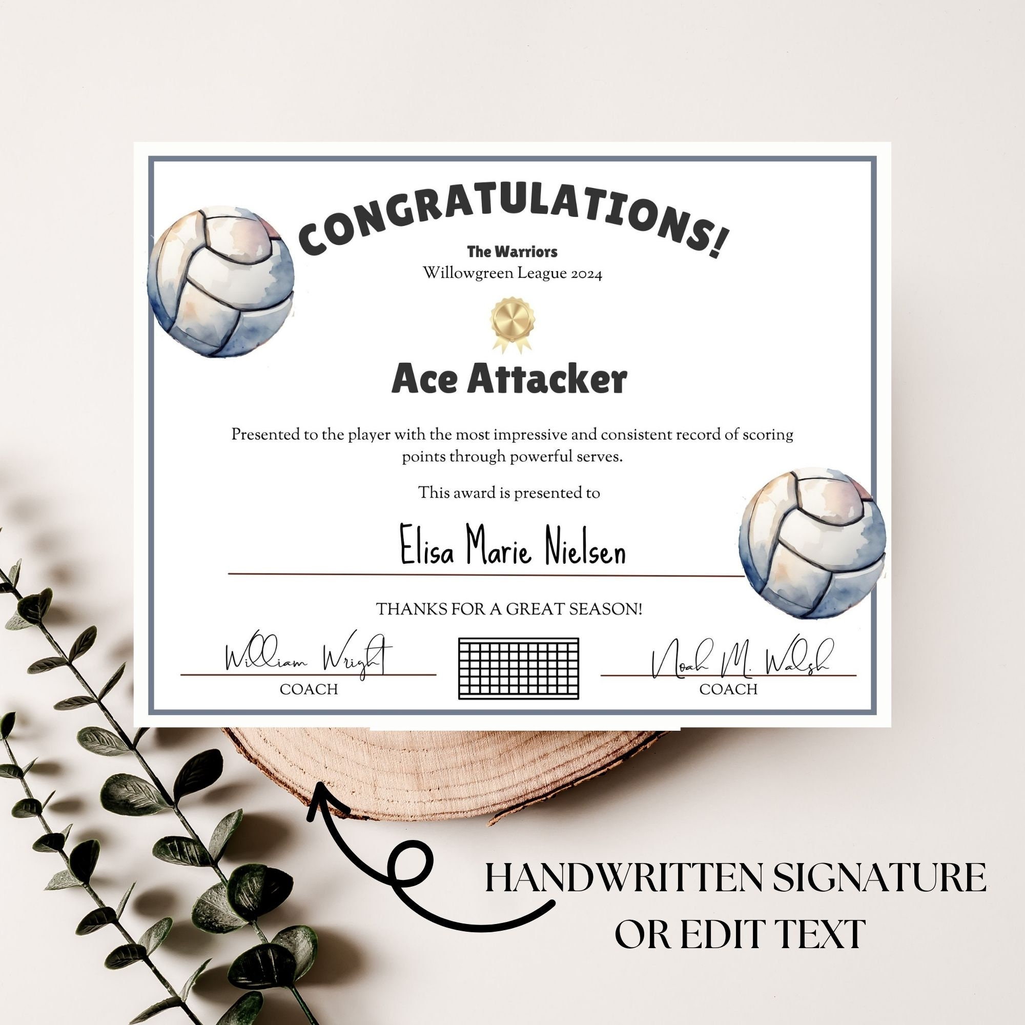 Volleyball Award Certificates, Award Ceremony Certificates, End of ...