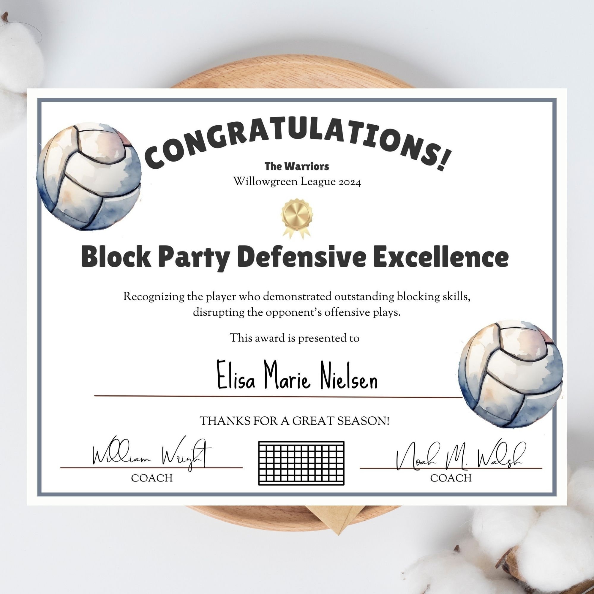 Volleyball Award Certificates, Award Ceremony Certificates, End of ...