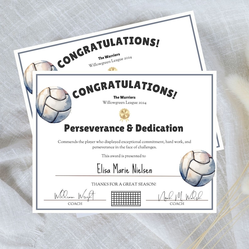 Volleyball Award Certificates, Award Ceremony Certificates, End of ...