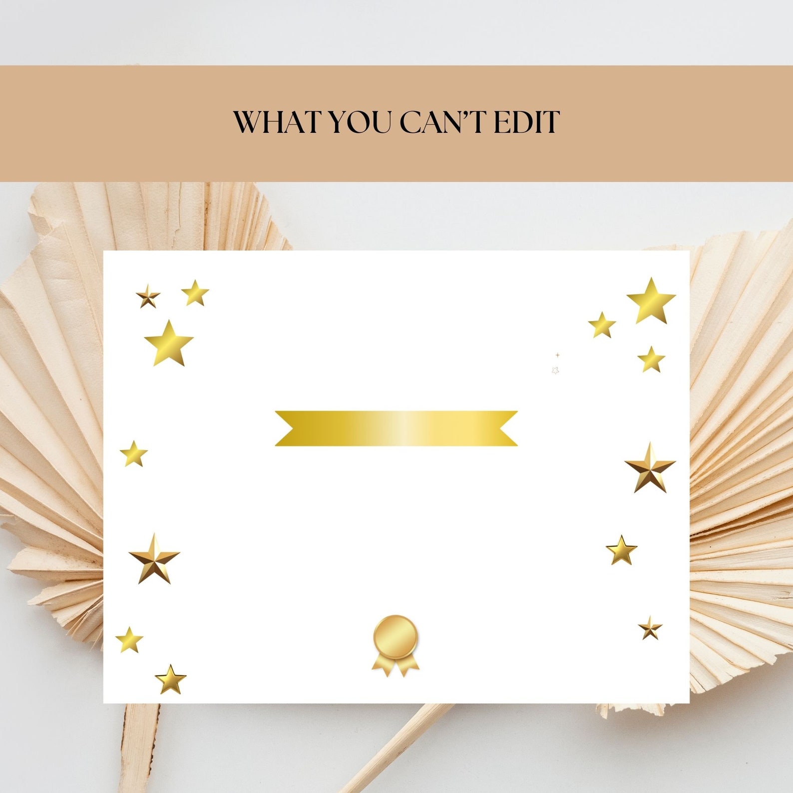 Editable Kids Award Certificate: Gold Star Achievement (printable) - Etsy