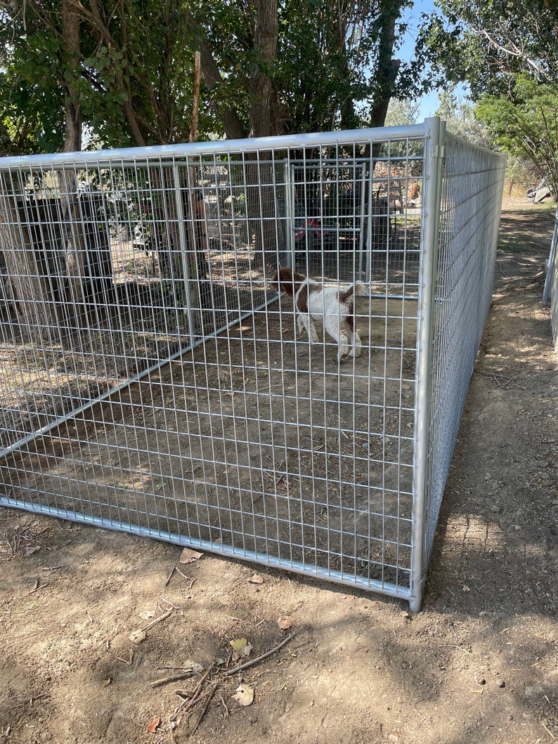 Custom Outdoor Dog Kennels - Etsy