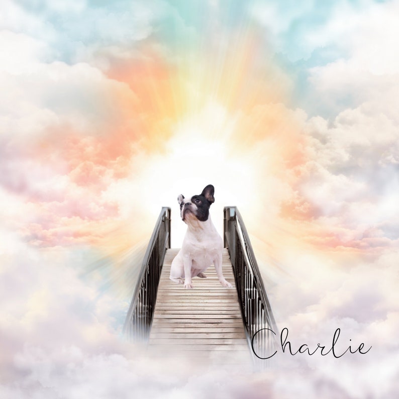 Watercolor Rainbow Bridge, Digital Backdrop, Pet Memorial Pet Loss Gift ...