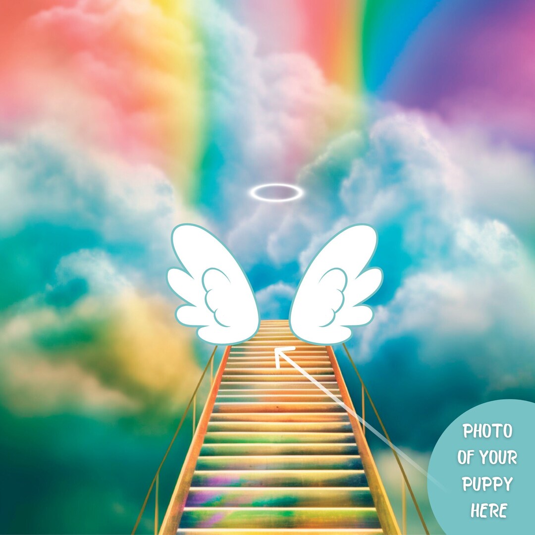 Rainbow Bridge Digital Frame Instant Download PNG Pet Loss Cat in ...
