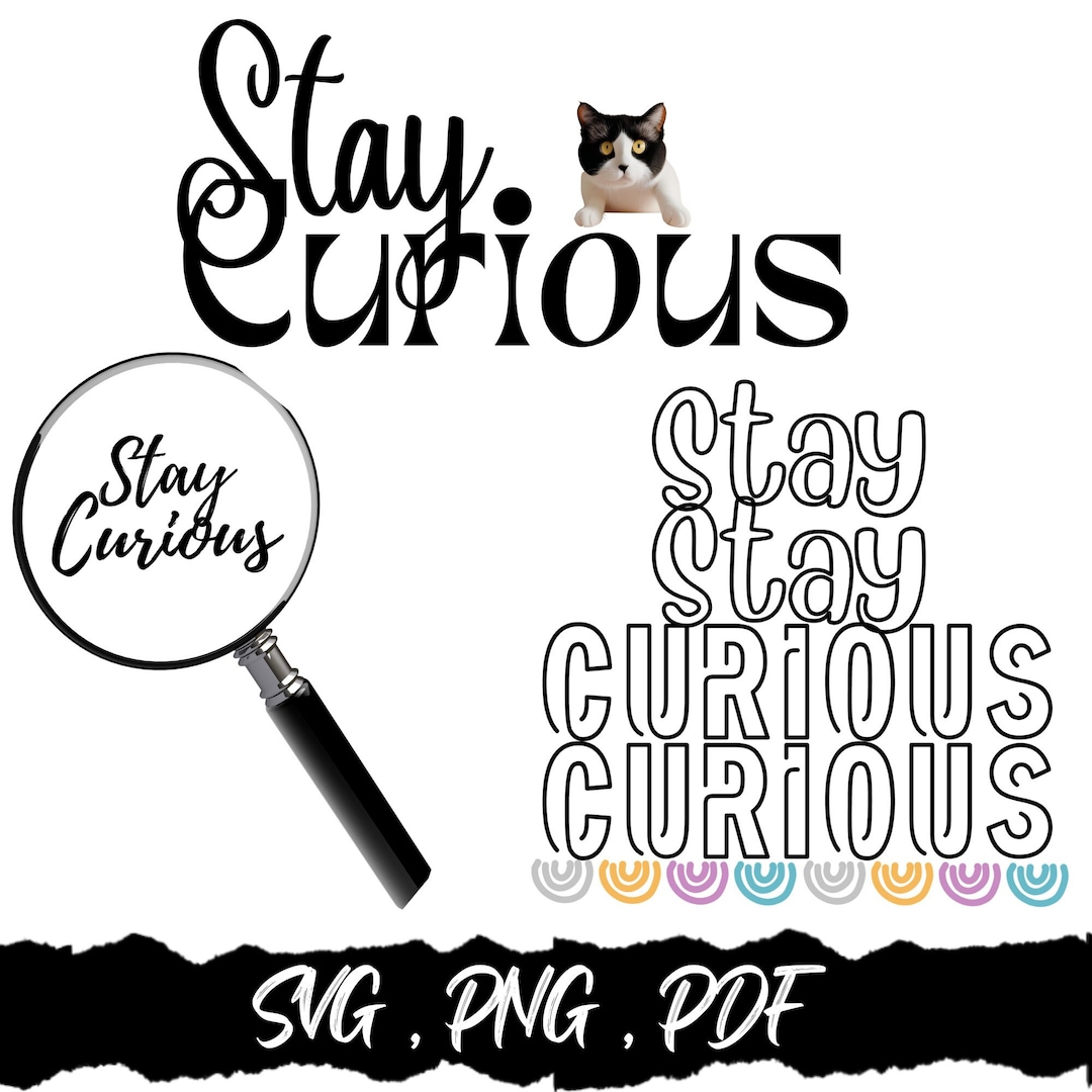 Stay Curious SVG Stay Curious Png Digital Files Cat Curious - Etsy