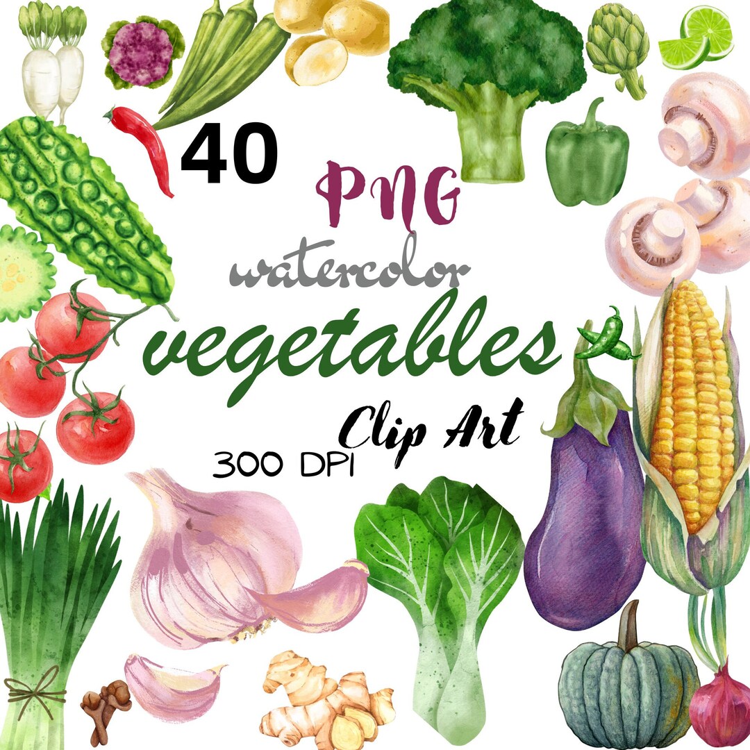 Watercolor Vegetables Clipart Watercolor Food Items Healthy - Etsy