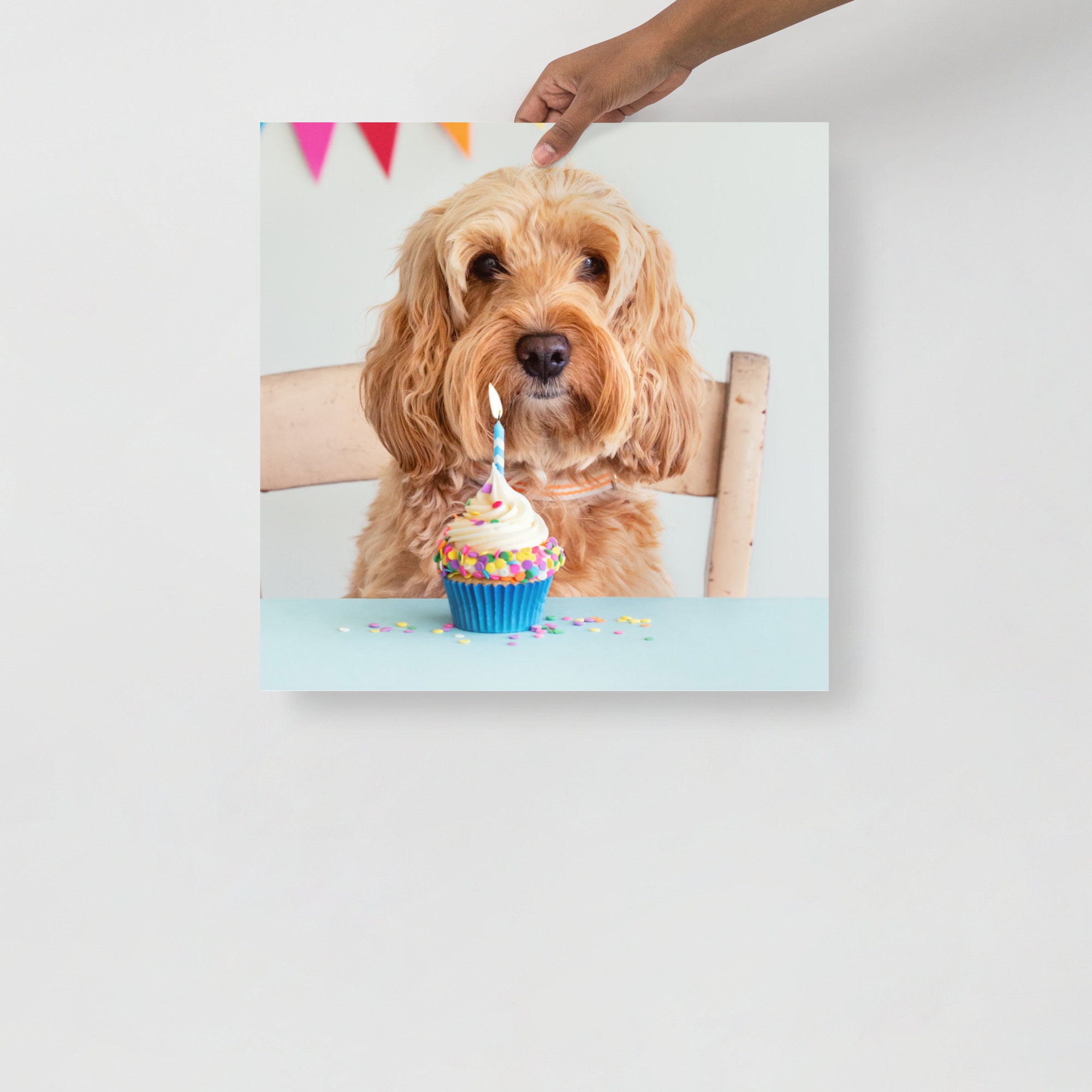 Cockerpoo Carnival: Birthday Cake Cockerpoo Dog Birthday - Etsy