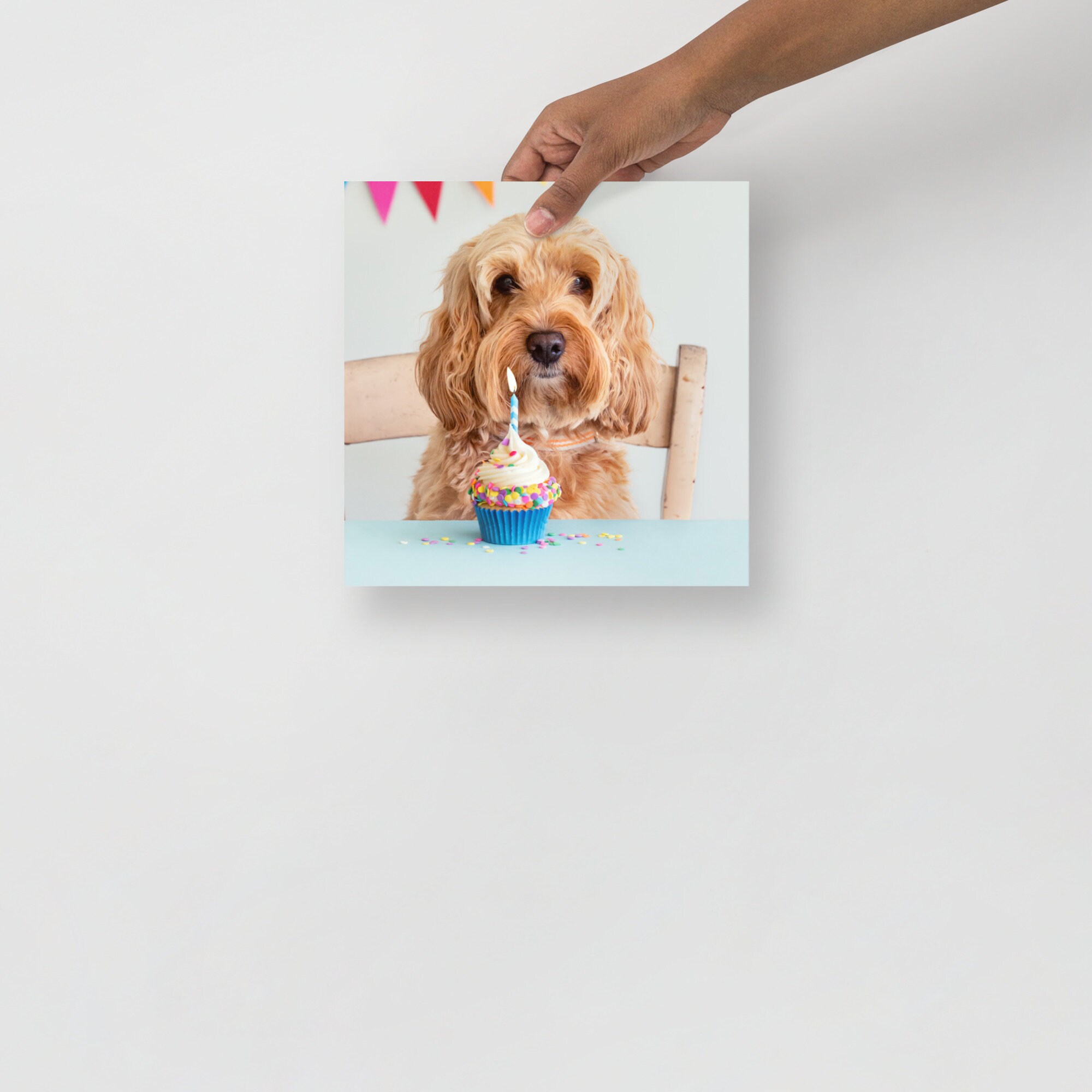 Cockerpoo Carnival: Birthday Cake Cockerpoo Dog Birthday - Etsy
