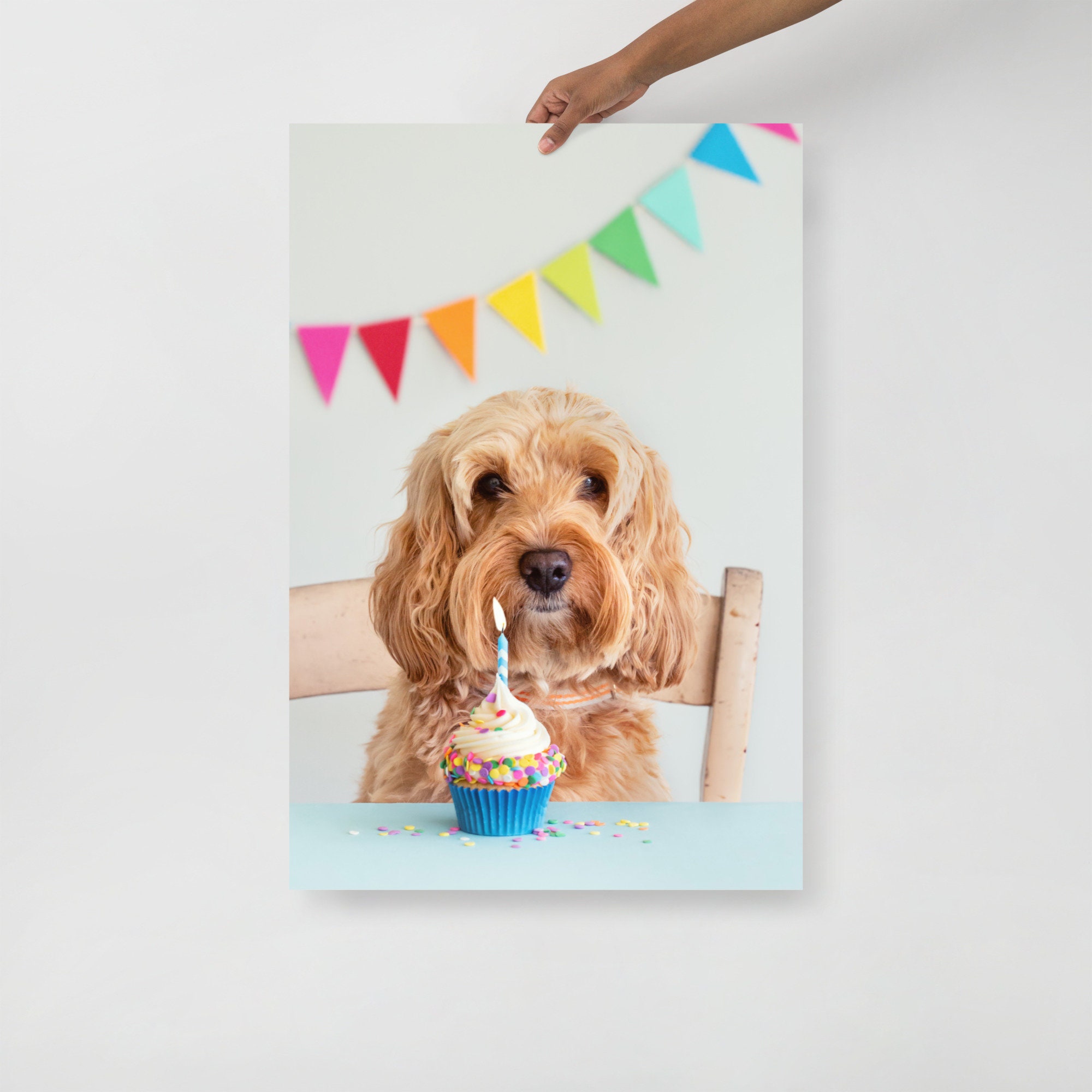 Cockerpoo Carnival: Birthday Cake Cockerpoo Dog Birthday - Etsy