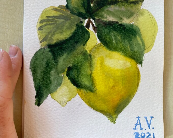 Lemon. Miniature Watercolor Painting, Original by Artist Ilse Hviid ...