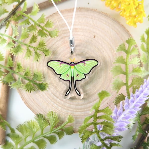 Green Luna Moth - Etsy