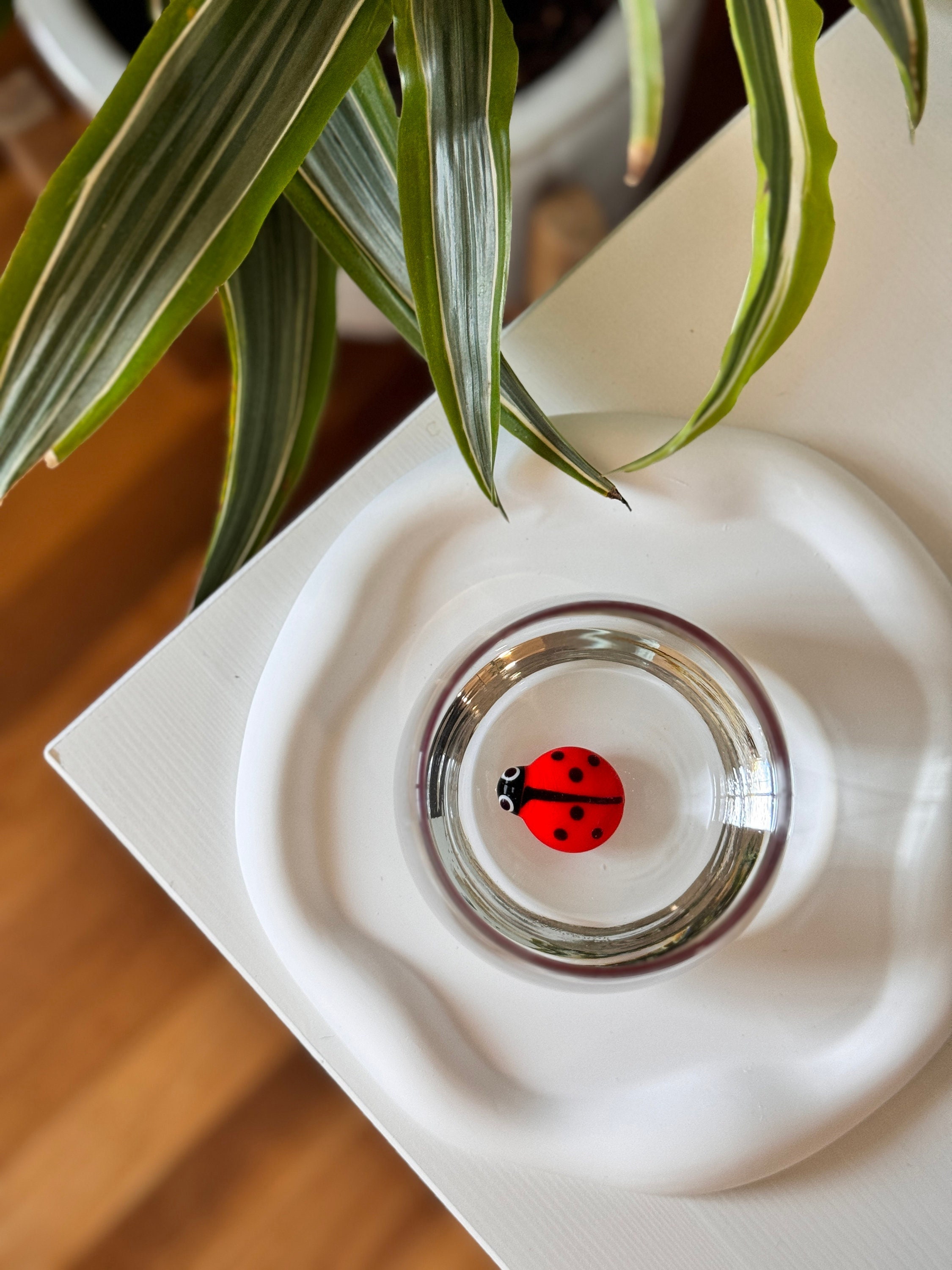 Ladybug Murano Glass Cup: Etched Wine Glass, Animal Lover Gift - Etsy