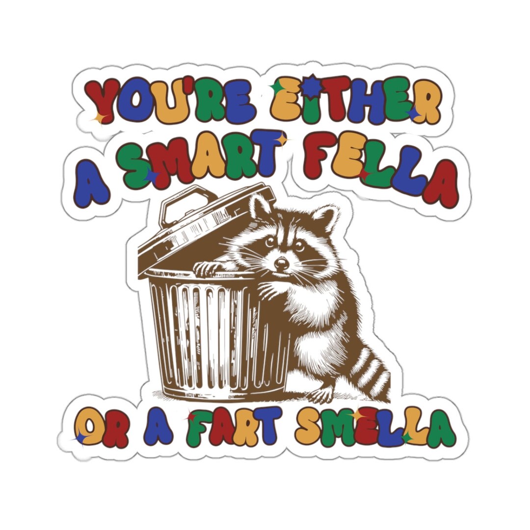 Smart Fella Sticker, Meme Gift, Raccoon Meme Sticker, Novelty Gift ...