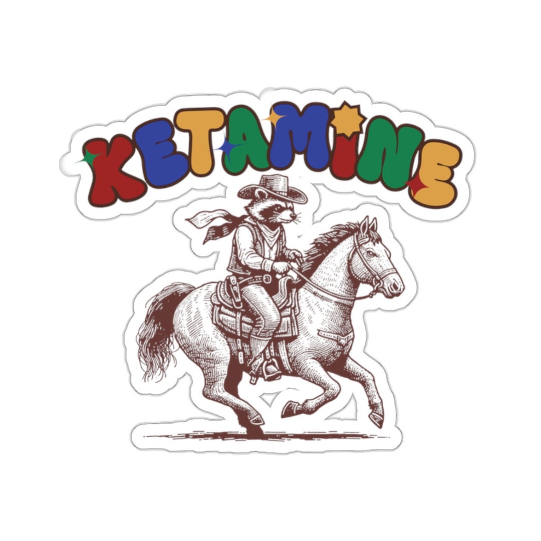 Raccoon Meme Sticker, Meme Gift, Clowncore Sticker, Weird Sticker, Dark ...