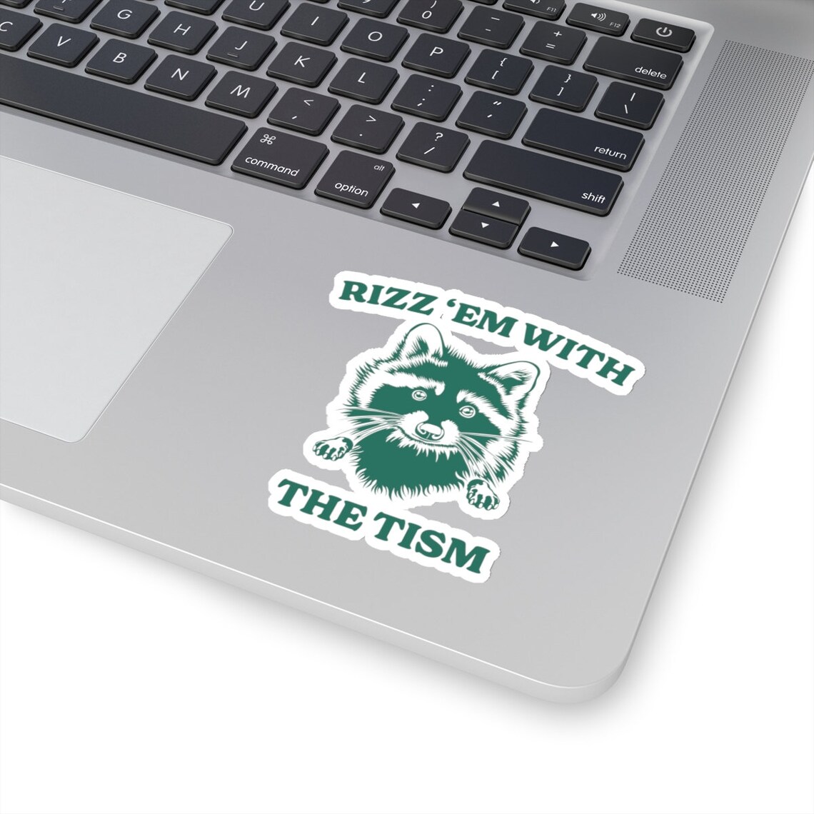 Rizz 'em With the Tism Sticker, Meme Gift, Raccoon Meme Sticker, Funny ...