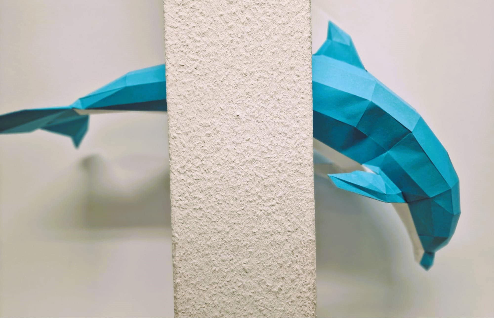 Papercraft Dolphin Through the Wall - Etsy Canada