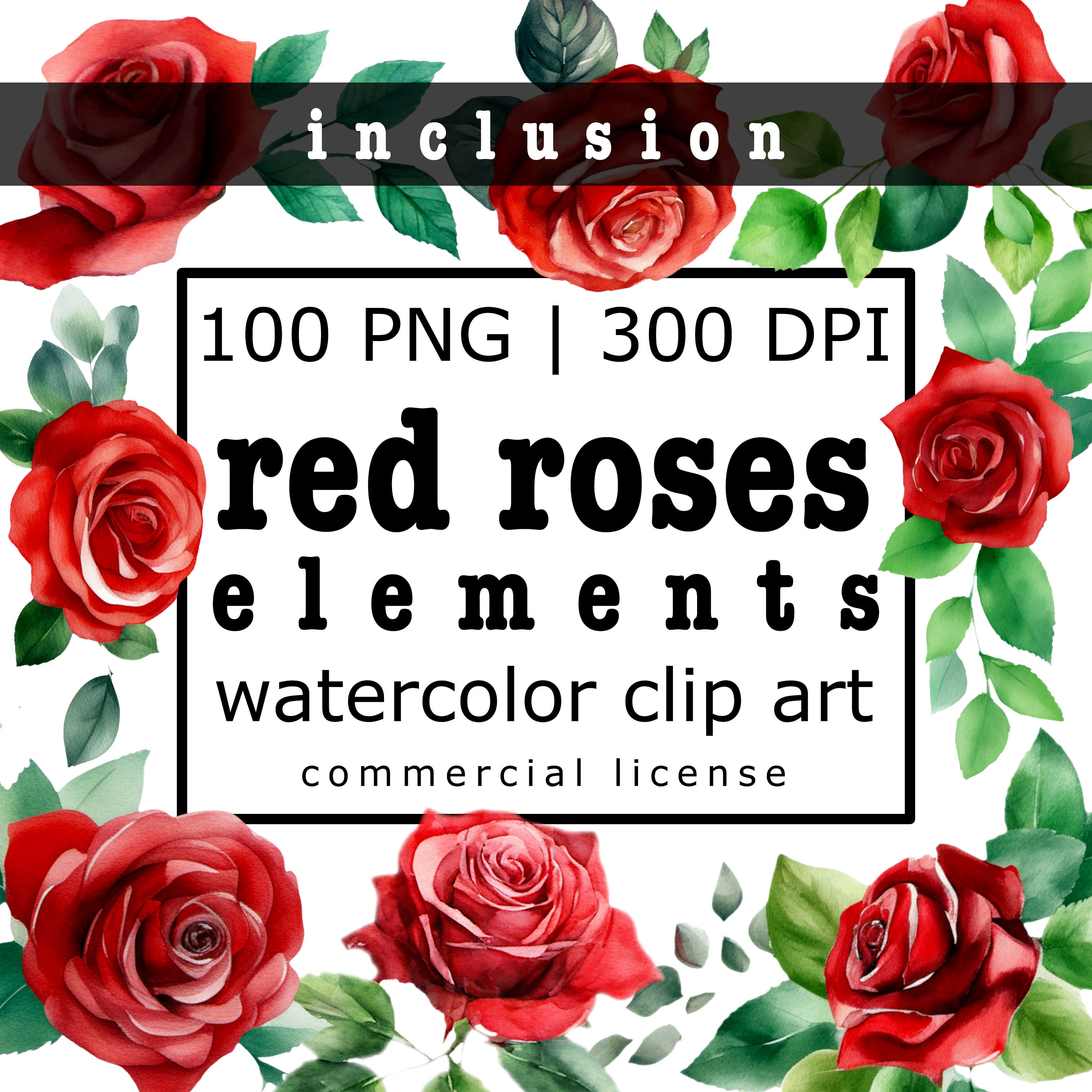 Red Roses Watercolor Floral Clip Art Bundle of 7 Listings of 312 PNG ...