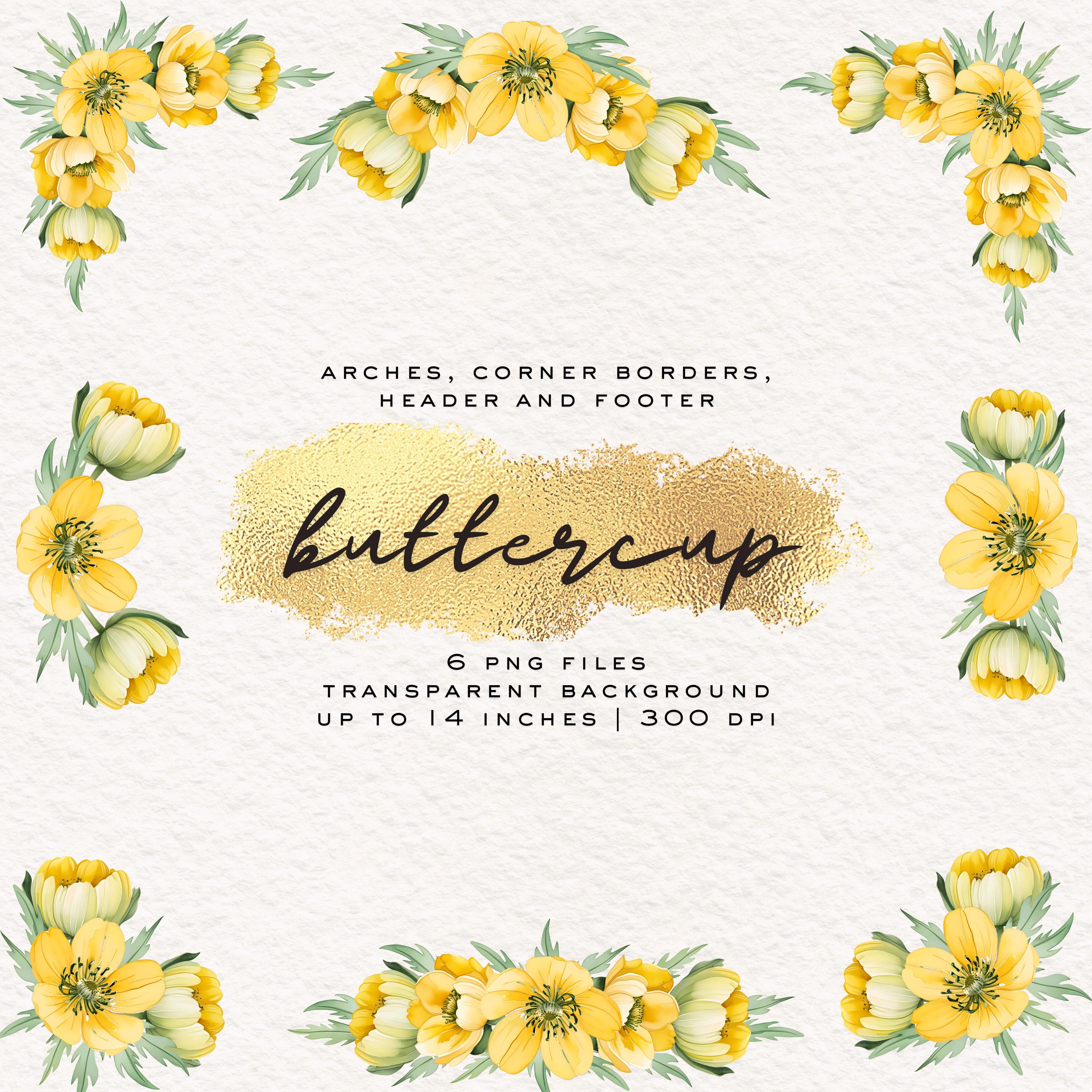 Buttercup Watercolor Clipart Borders: Floral PNG Files (digital ...