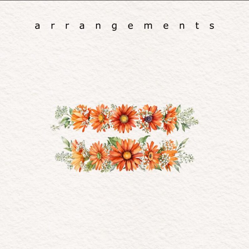 Orange Daisy Border Watercolor Cliparts - 12 PNG Floral Arrangements ...