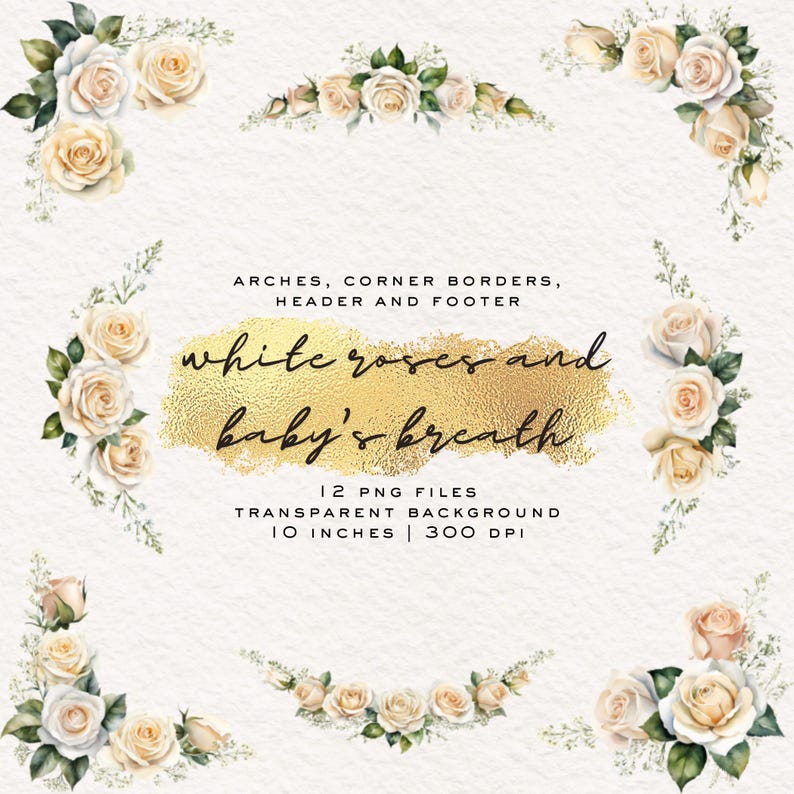 White Roses Border Watercolor Cliparts 12 PNG Floral Arrangements for ...
