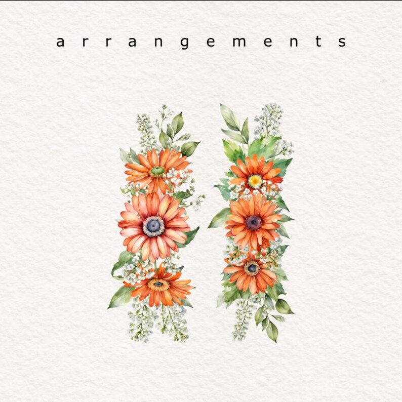 Orange Daisy Border Watercolor Cliparts - 12 PNG Floral Arrangements ...