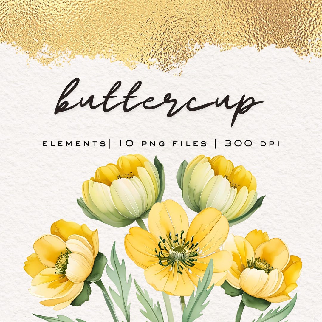 Watercolor Buttercup Clipart: 10 PNG Floral Design Elements, Personal ...