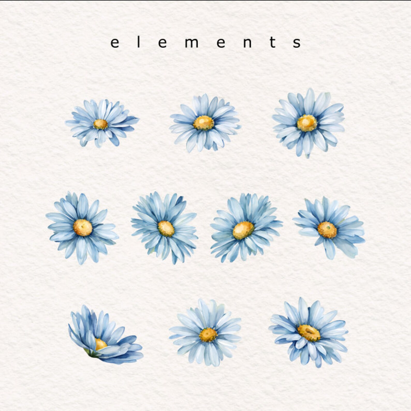 Blue Daisy Watercolor Clipart: 45 PNG Floral Elements, Personal or ...