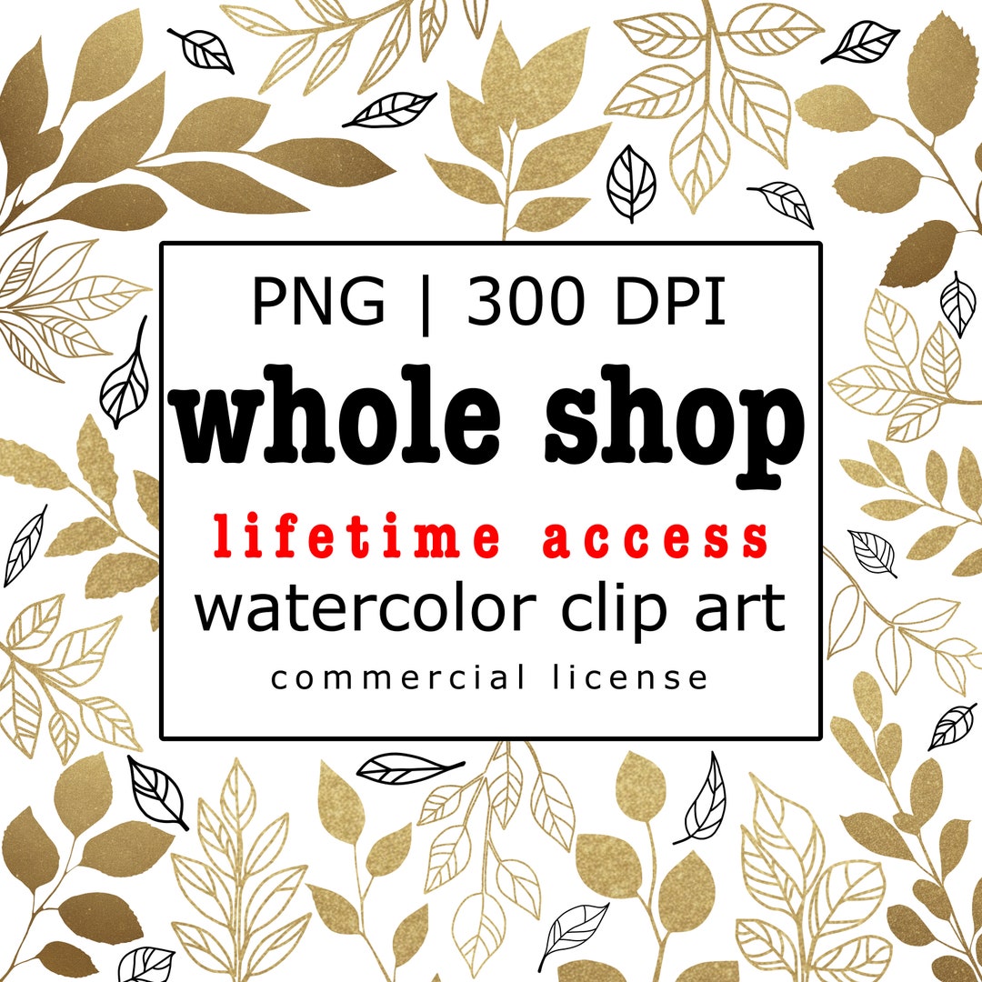 Lifetime Whole Shop Clip Art Bundle: 300 DPI PNG Files (digital ...