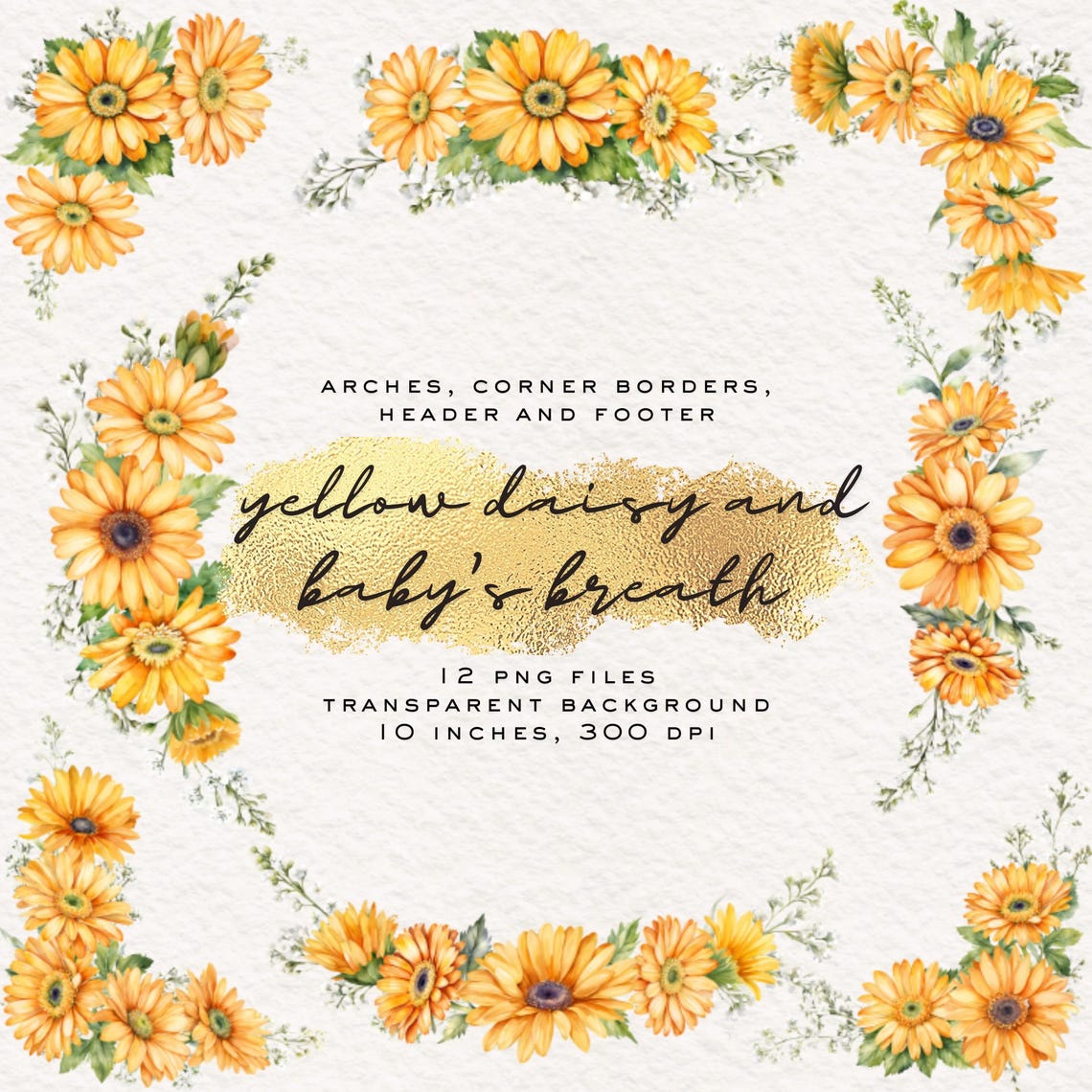 Yellow Daisy Border Watercolor Cliparts 12 PNG Floral Arrangements for ...
