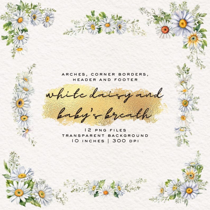 White Daisy Border Watercolor Cliparts - 12 PNG Floral Arrangements for ...