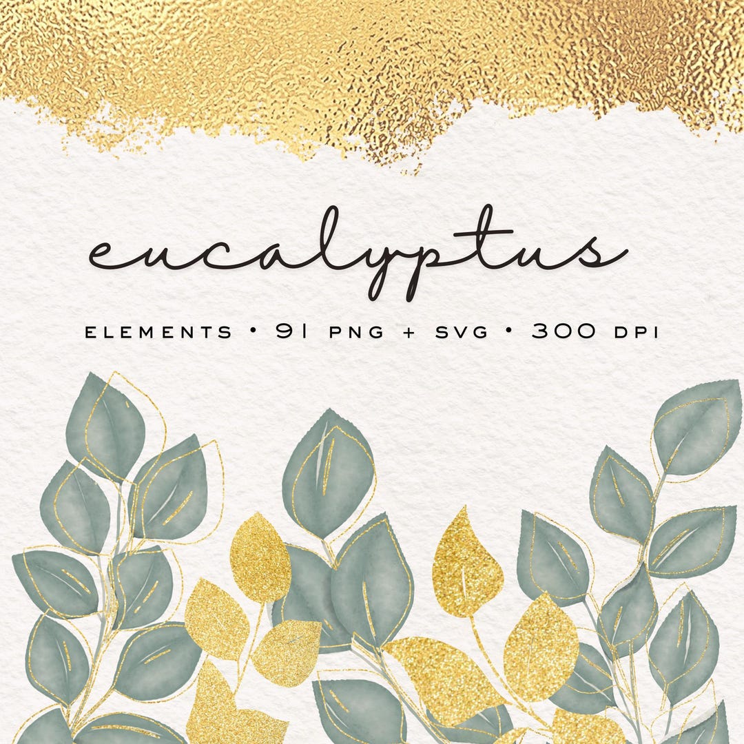Eucalyptus Watercolor Clipart: 91 PNG & SVG Foliage Elements, Personal ...