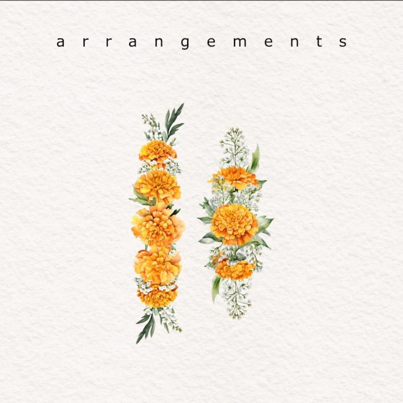 Marigold Watercolor Clipart: Floral Border & Arch PNG (digital Download ...