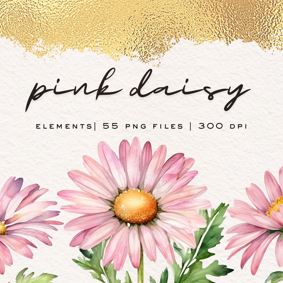 Pink Daisy Watercolor Clipart: 55 PNG Floral Design Elements (digital ...