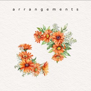 Orange Daisy Border Watercolor Cliparts - 12 PNG Floral Arrangements ...