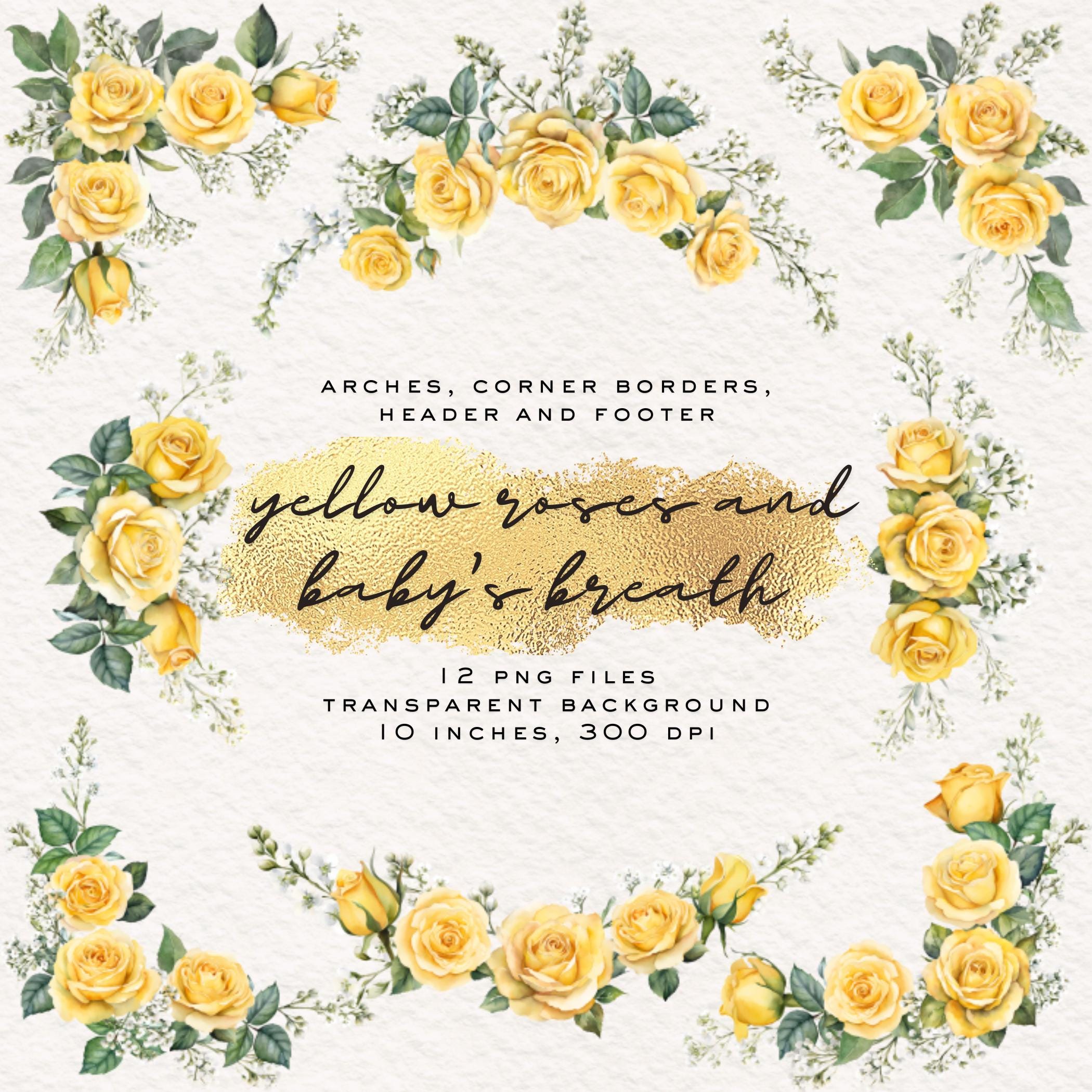 Yellow Roses Border Watercolor Cliparts - 12 PNG Floral Arrangements ...