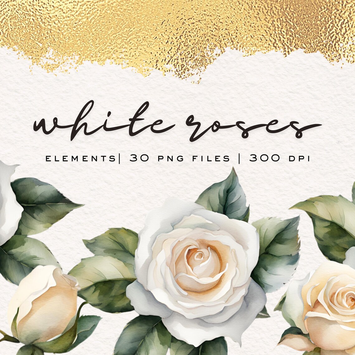 White Roses Floral Watercolor Clipart Elements for Floral Arrangements ...