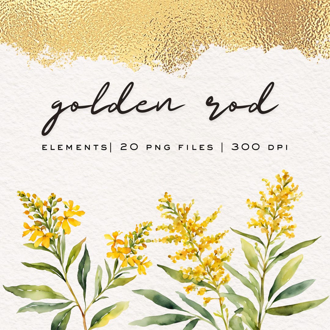 Golden Rod Floral Clipart: 20 PNG Files, Personal or Commercial ...