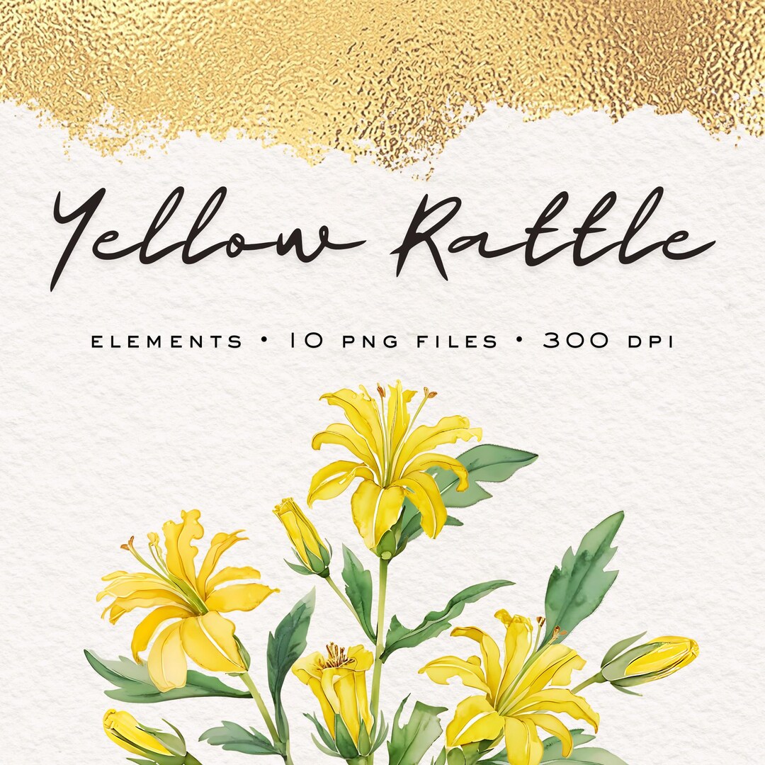 Yellow Rattle Wildflower Clipart: Floral Design Elements (digital ...