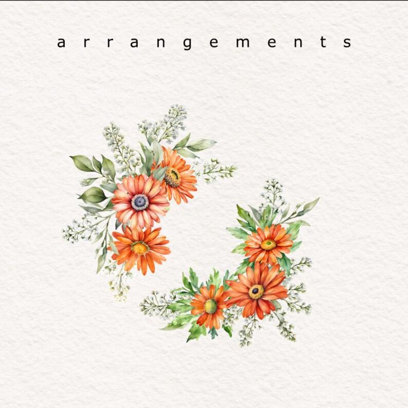 Orange Daisy Border Watercolor Cliparts - 12 PNG Floral Arrangements ...