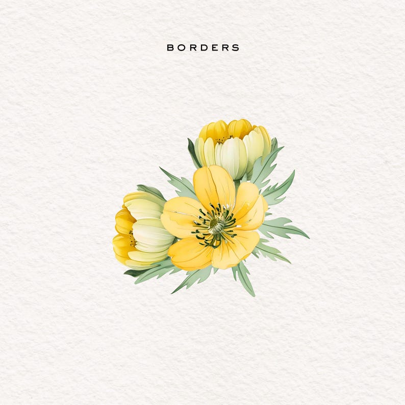 Buttercup Watercolor Clipart Borders: Floral PNG Files (digital ...
