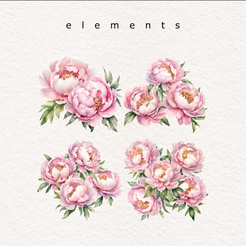 Pink Peony Floral Clipart Set, 40 PNG Files With Transparent Background ...