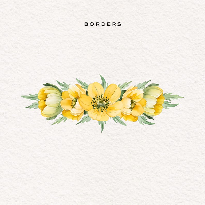 Buttercup Watercolor Clipart Borders: Floral PNG Files (digital ...