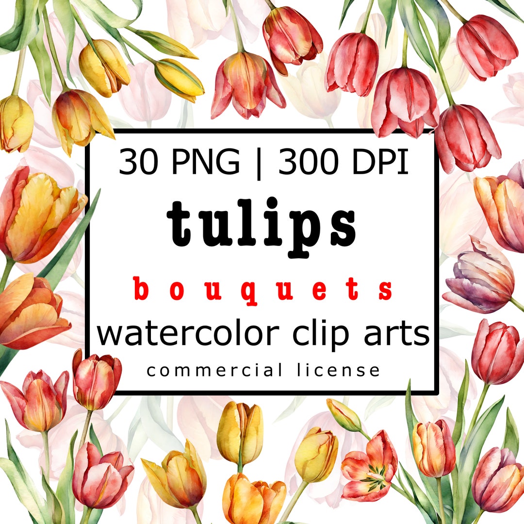 Tulip Watercolor Clip Art Bouquets to Compliment Design Templates for ...