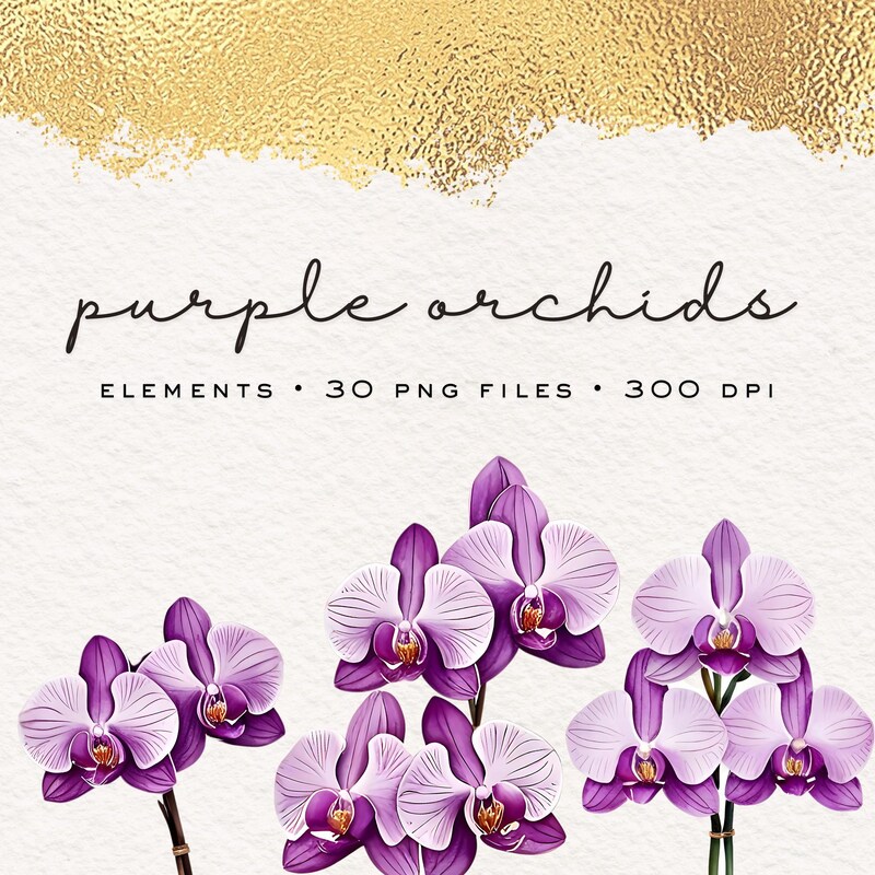 Orchid Watercolour Design - Etsy