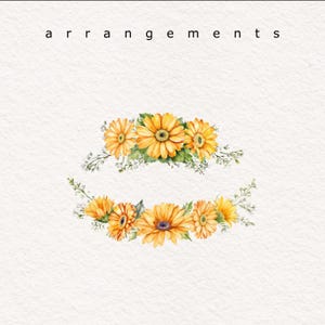 Yellow Daisy Border Watercolor Cliparts - 12 PNG Floral Arrangements ...